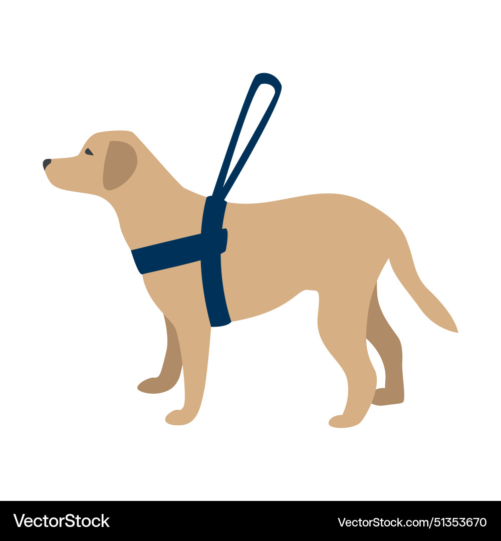 Guide dog Royalty Free Vector Image - VectorStock
