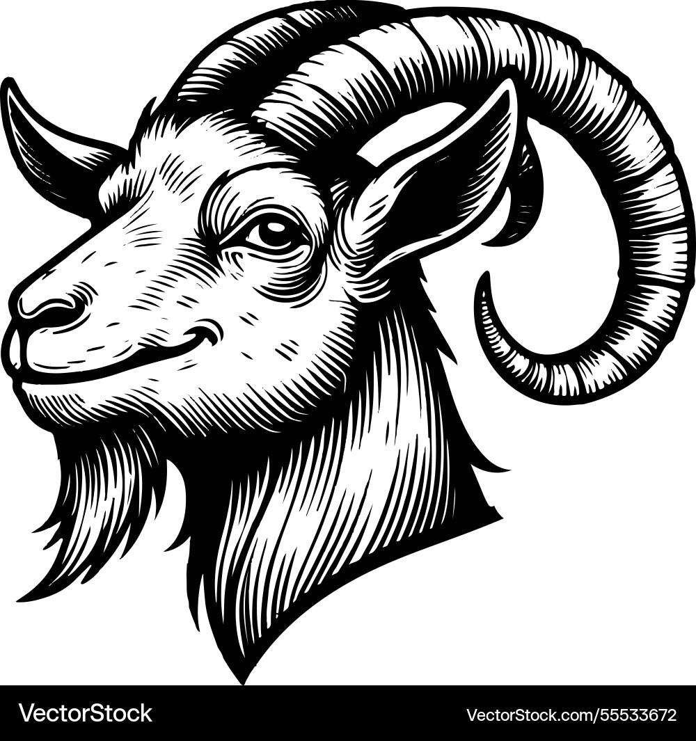 Goat head Royalty Free Vector Image - VectorStock