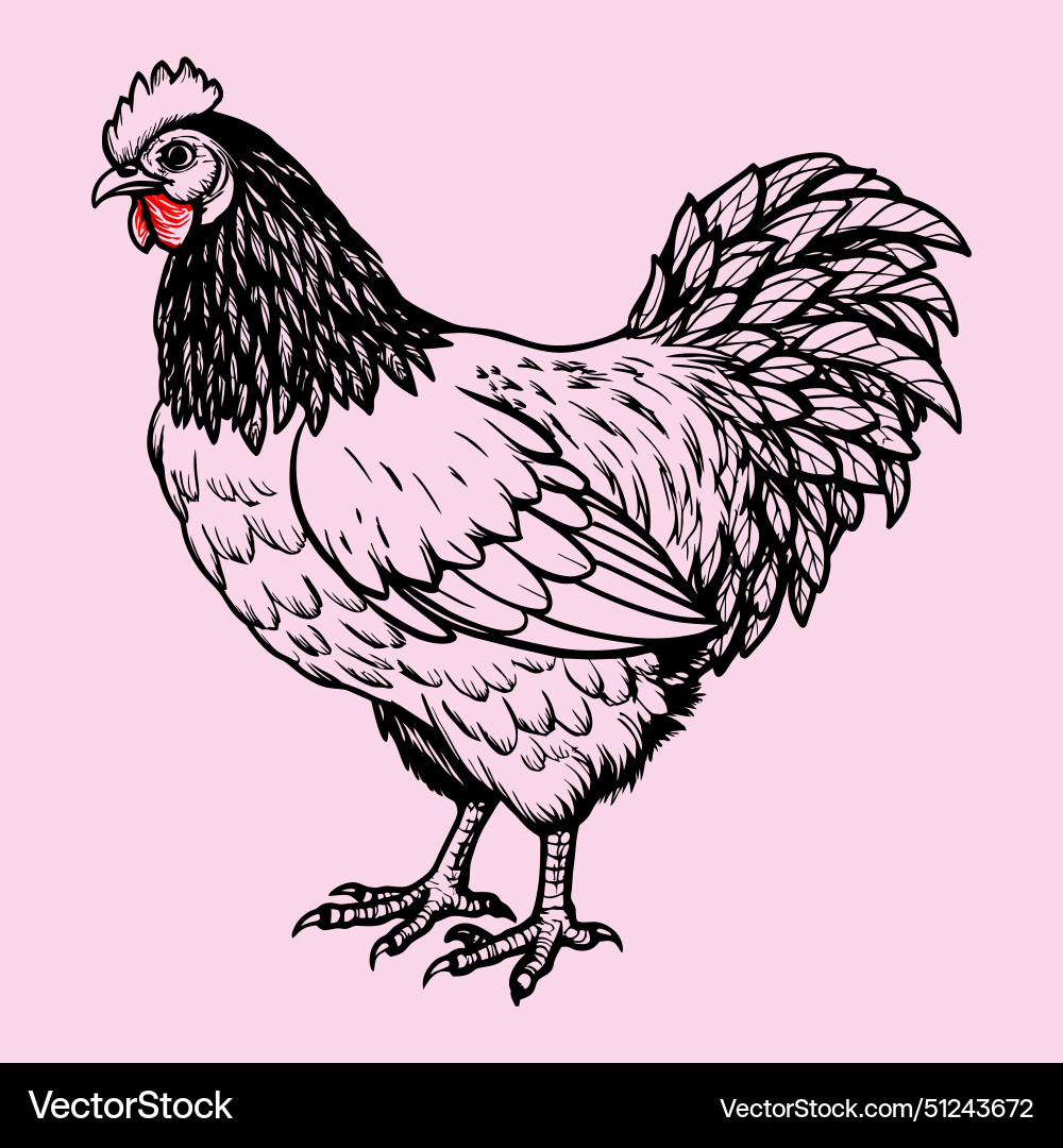 Hen Royalty Free Vector Image - VectorStock