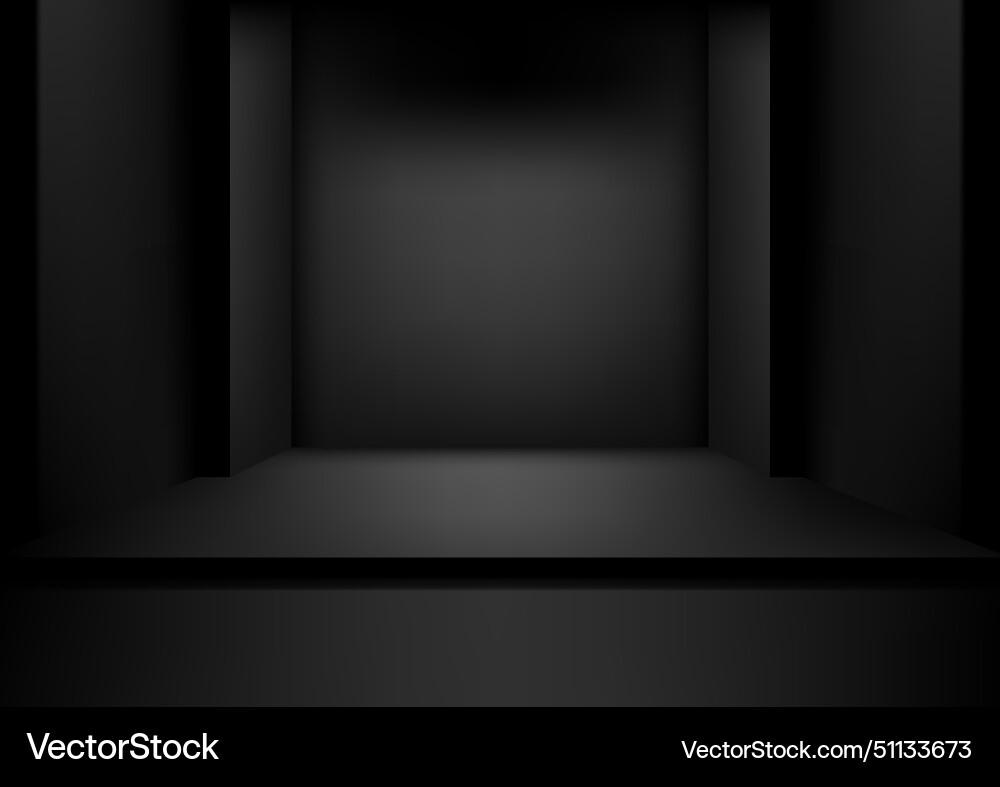 A spotlight illuminates a dark room with a black Vector Image