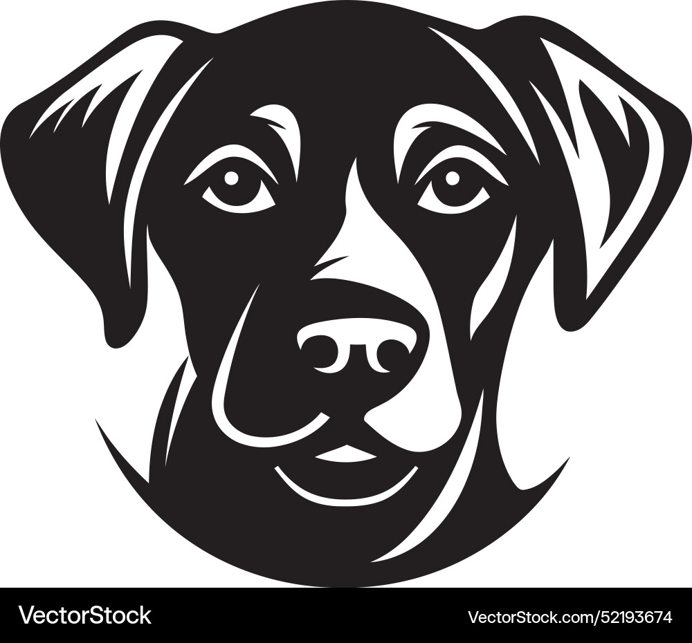 Adventures with dogs exploring the great Vector Image