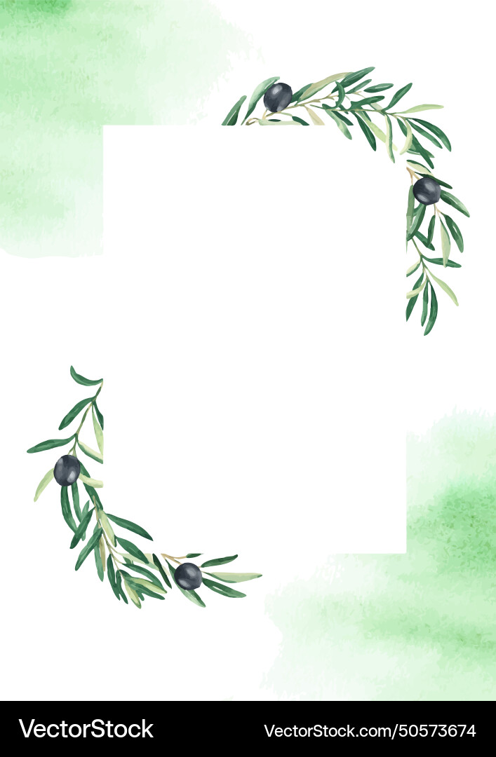 Floral background card template with black olive Vector Image