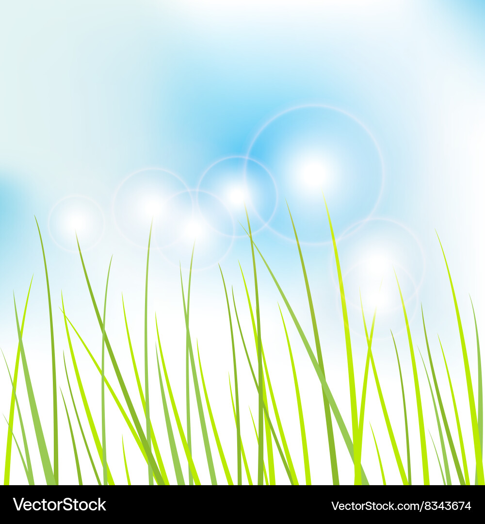 Grass - background Royalty Free Vector Image - VectorStock