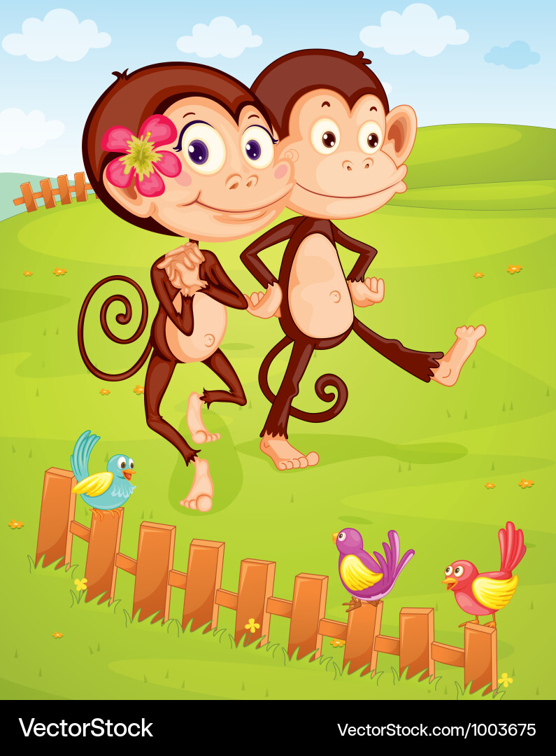 Monkey couple Royalty Free Vector Image - VectorStock