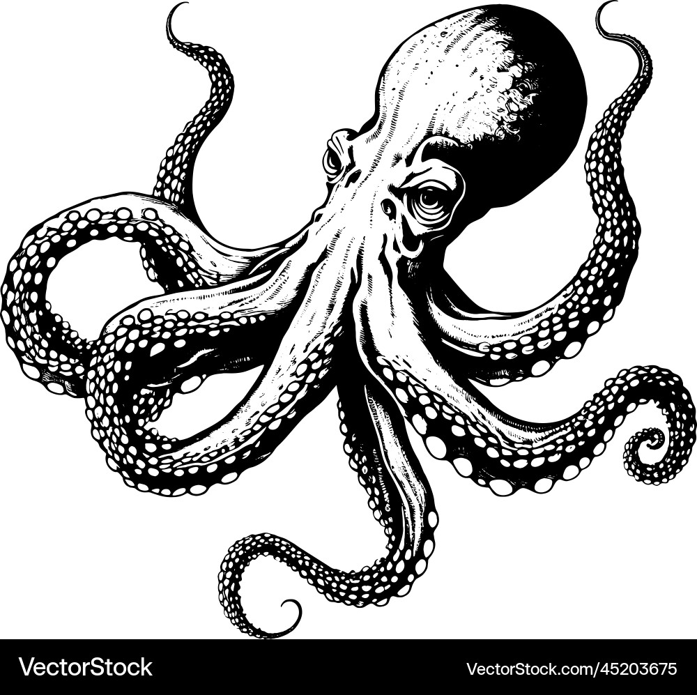 Octopus sketch hand drawn Royalty Free Vector Image