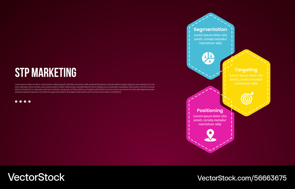 STP Marketing Infographic Template – Royalty-Free Vector | VectorStock