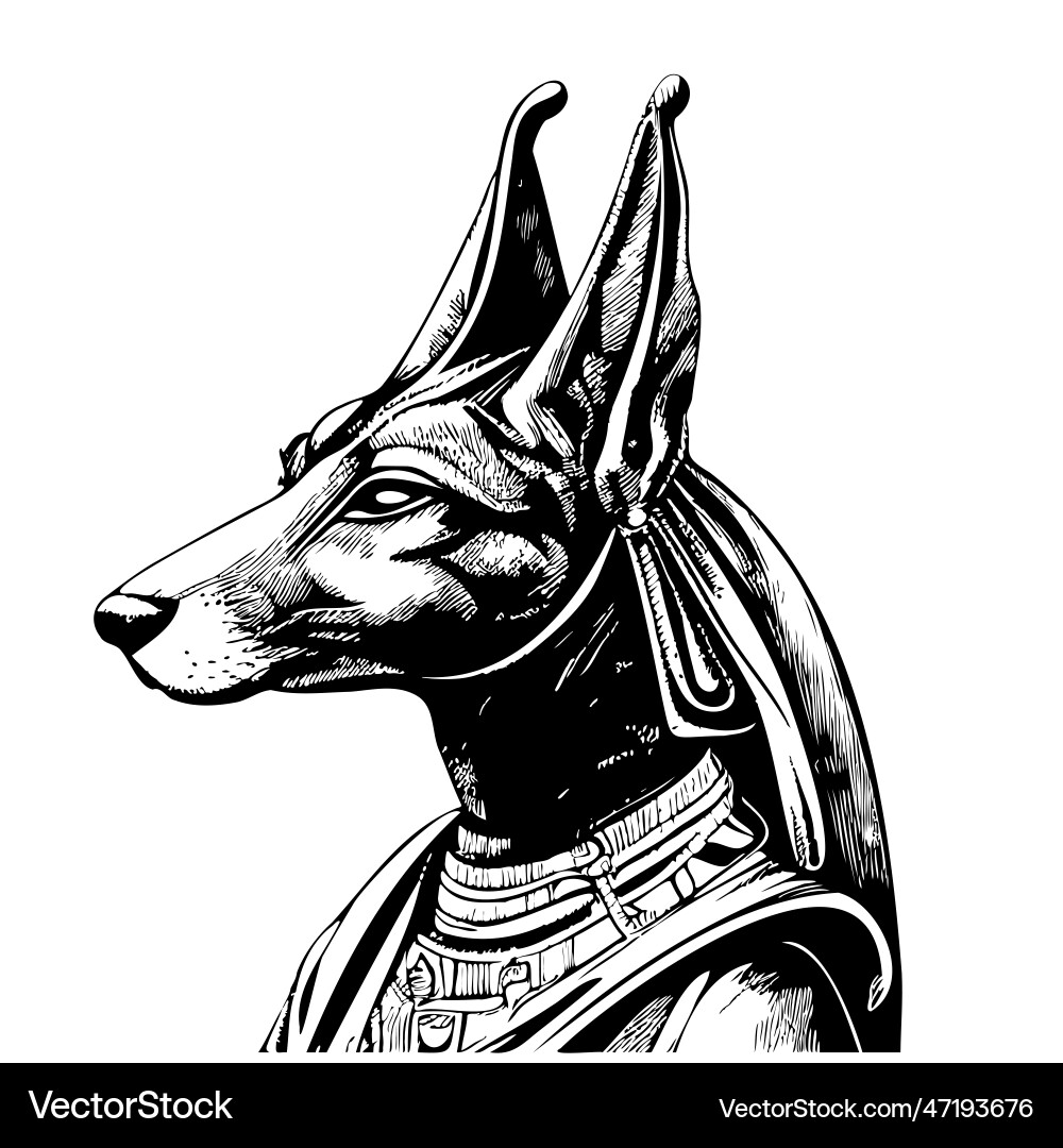 Anubis portrait sketch hand drawn Royalty Free Vector Image
