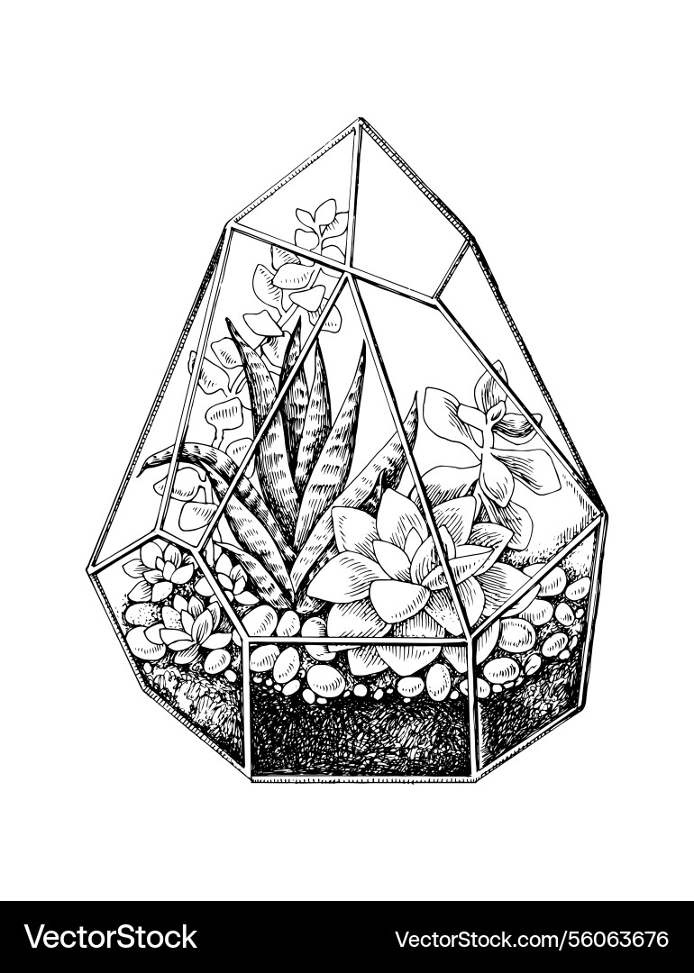 Hand drawn florarium Royalty Free Vector Image