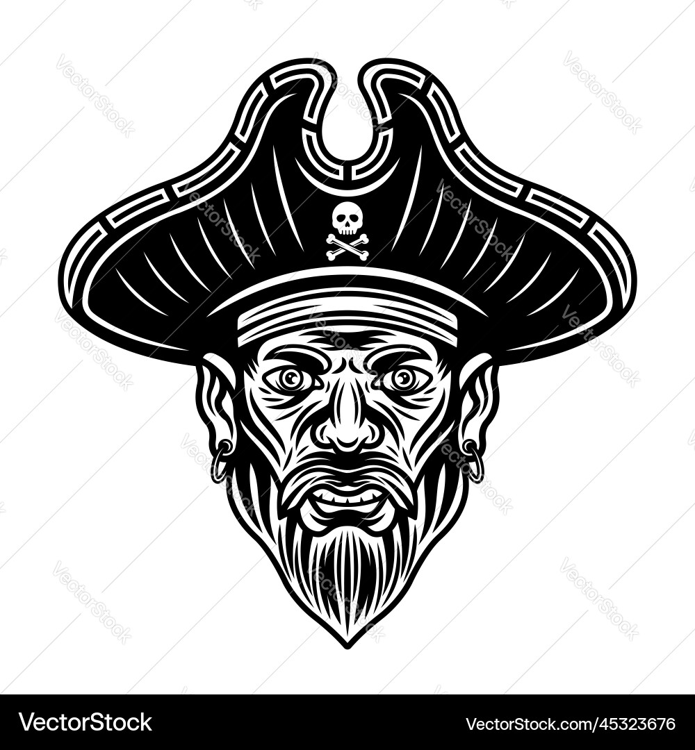 Pirate head with beard Royalty Free Vector Image