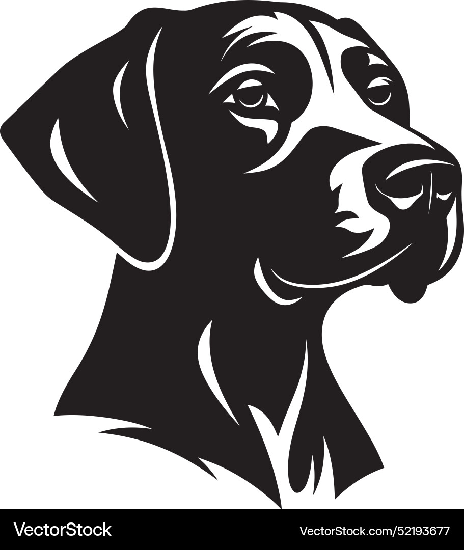 Dog friendly cities where to live and visit Vector Image