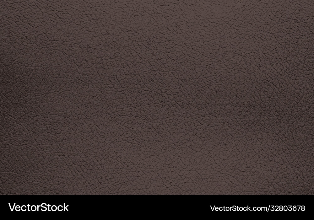 Brown Leather Grain Texture Royalty Free Vector Image