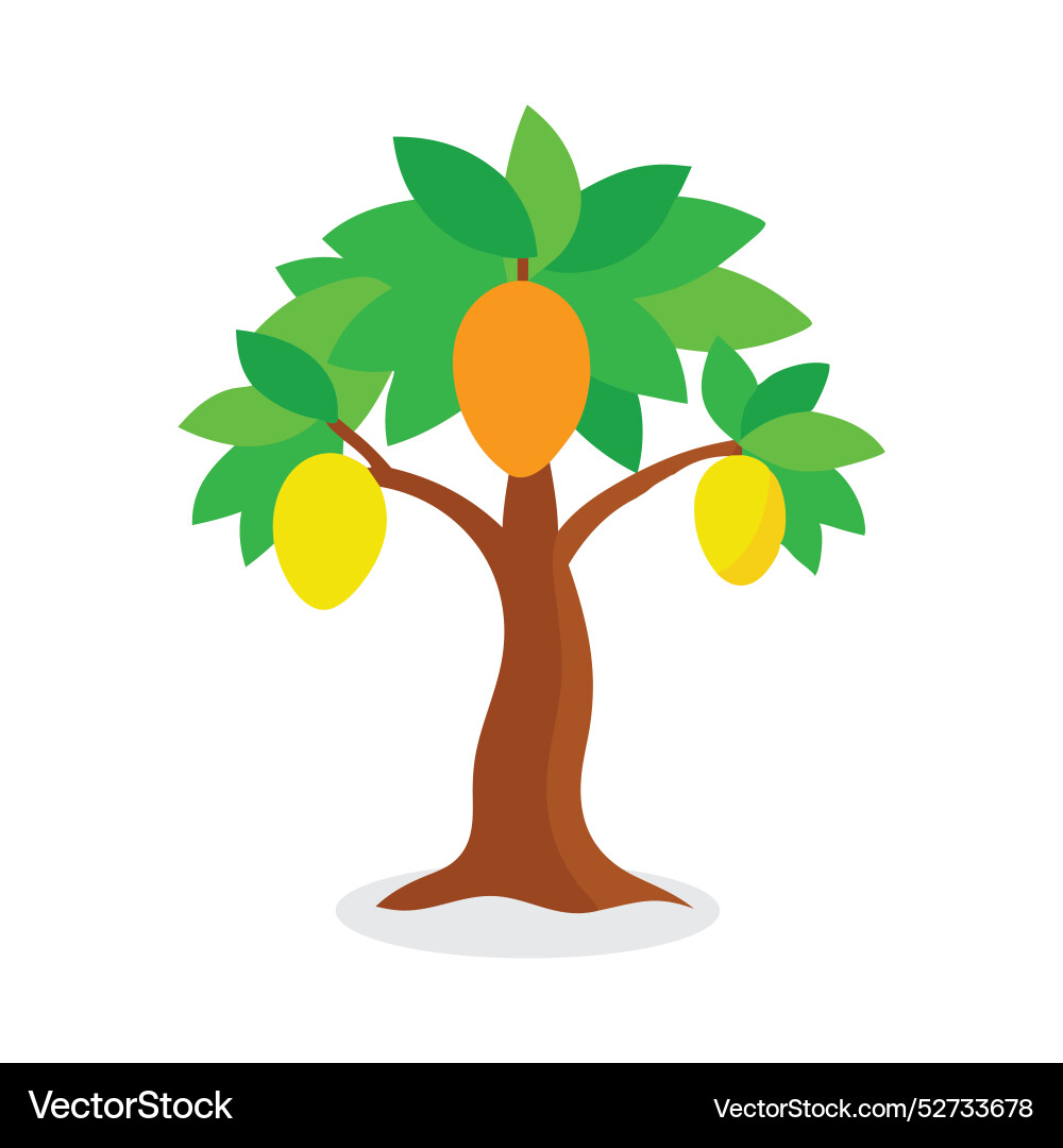 Mango tree flat on white background Royalty Free Vector
