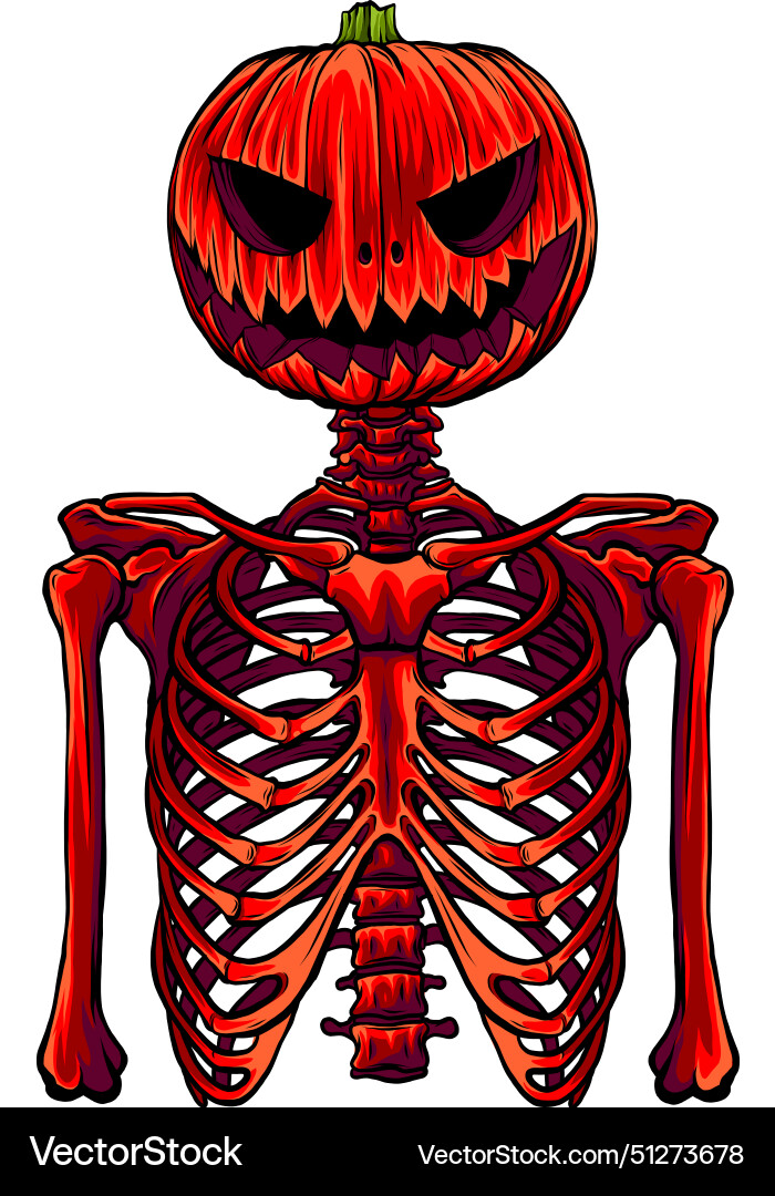 Skeleton halloween on white Royalty Free Vector Image