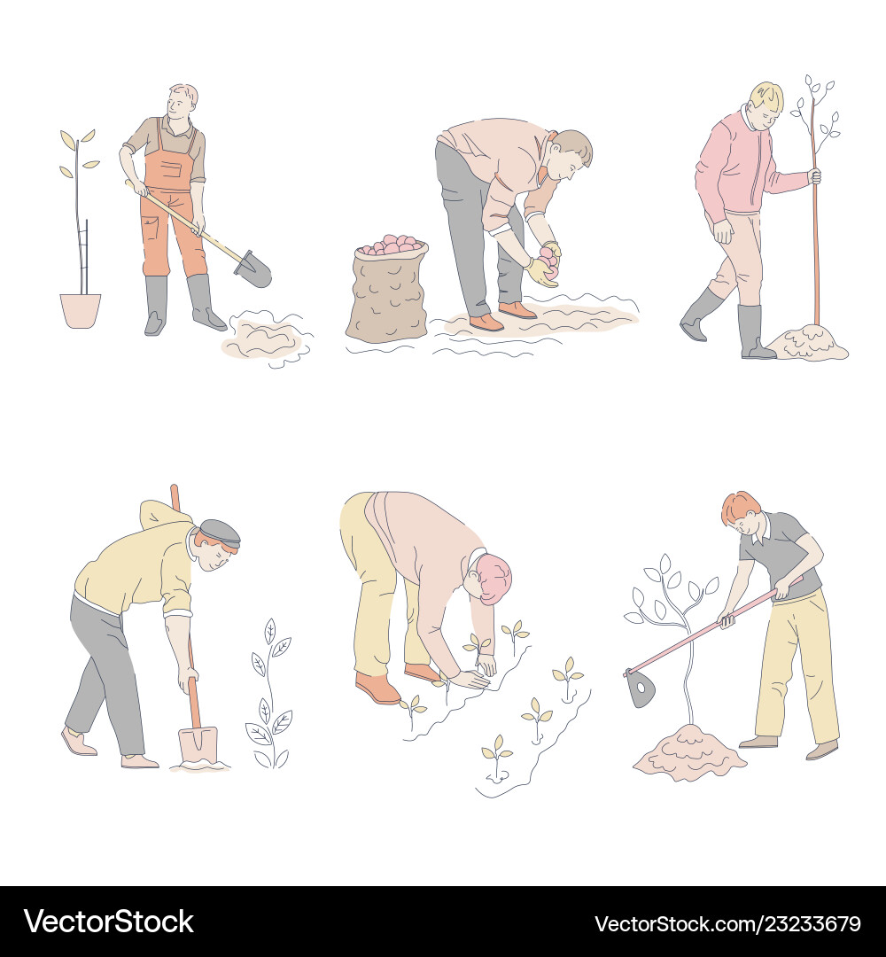 Men planting trees and vegetables in ground Vector Image