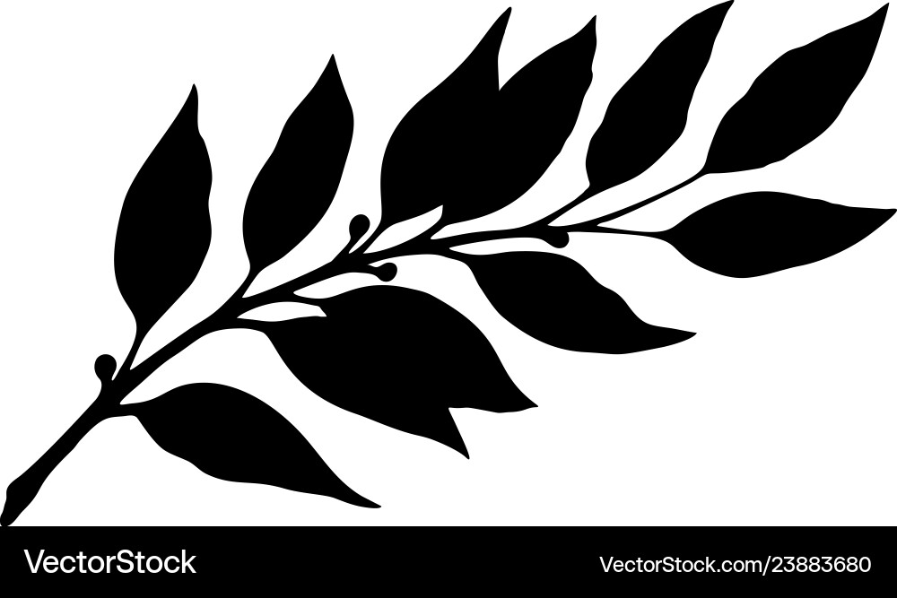 Laurel branch silhouette Royalty Free Vector Image