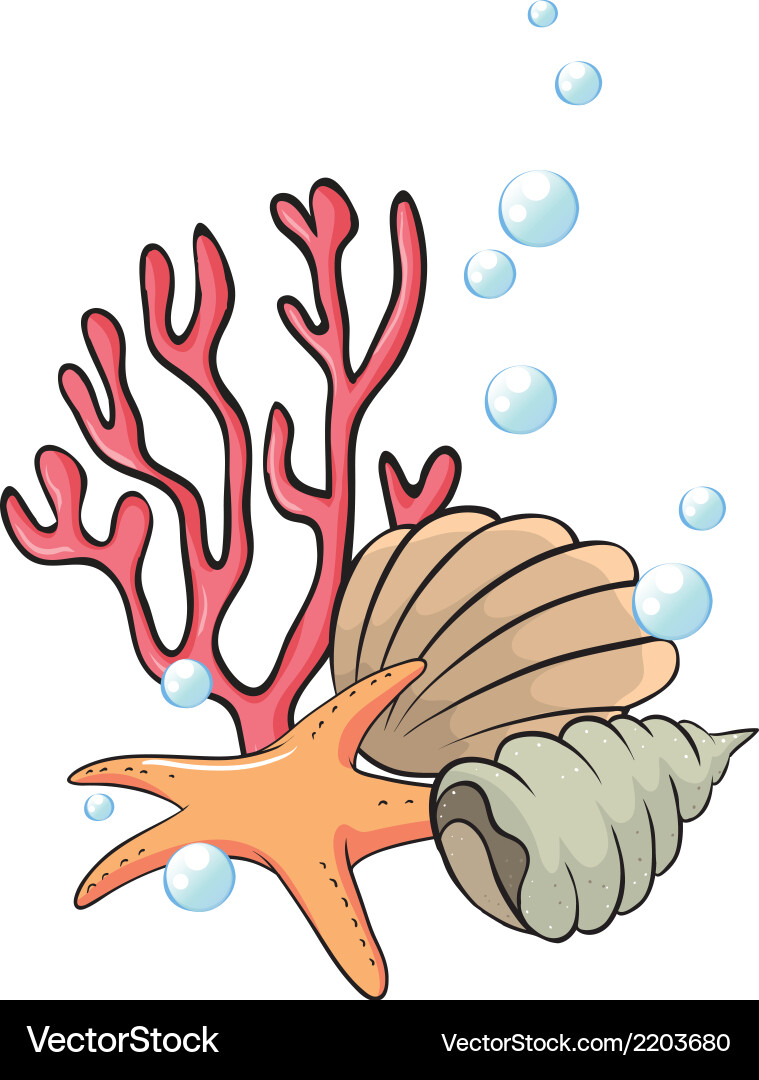 Shells and starfish under the sea Royalty Free Vector Image