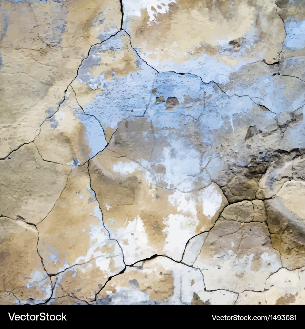 Old cracked plaster texture Royalty Free Vector Image