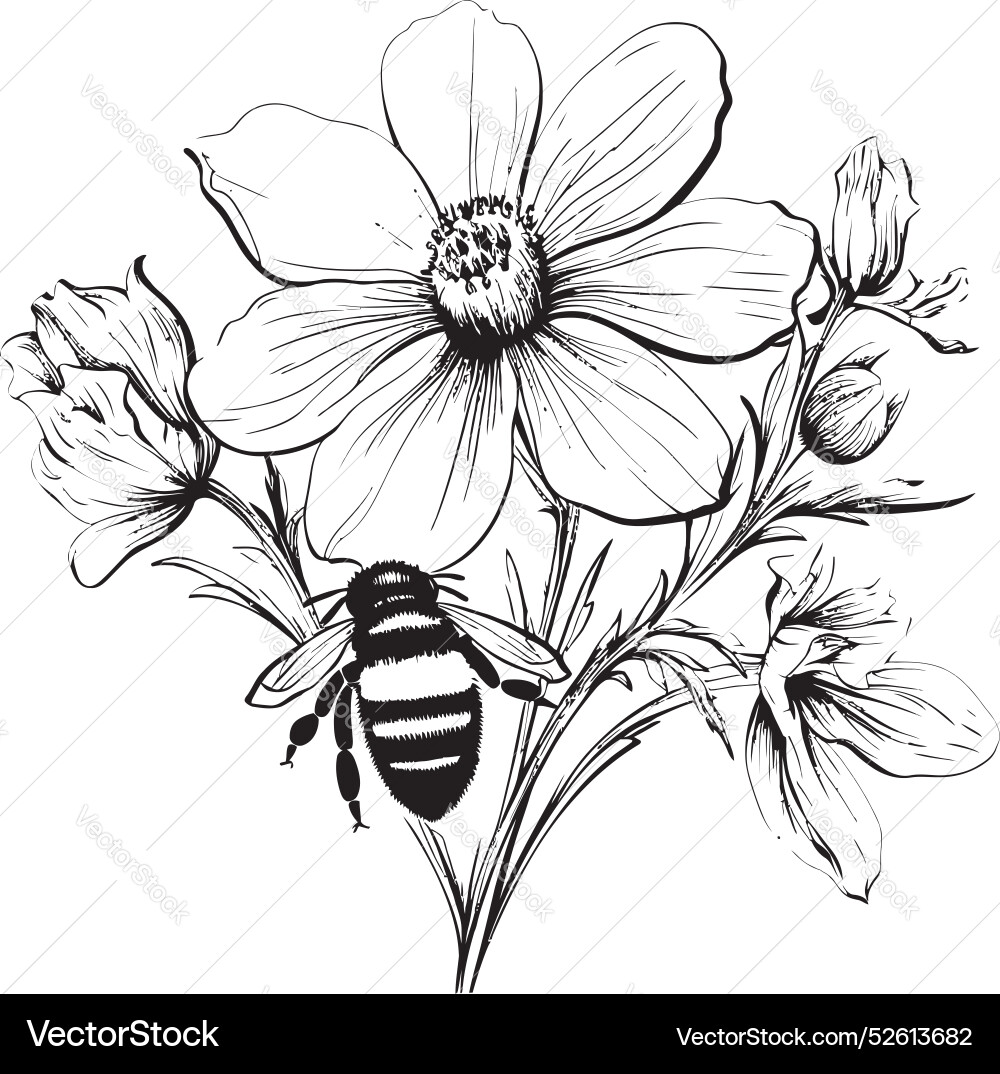 Tranquil tranquility minimalist bee and blossom Vector Image