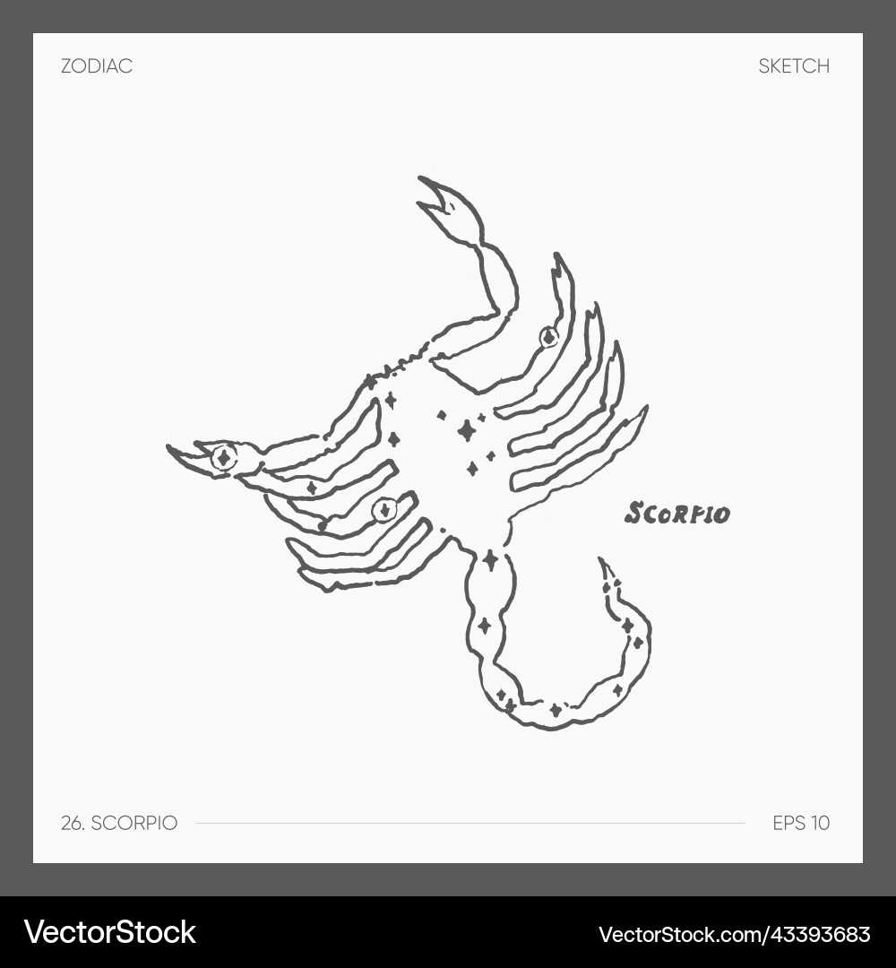 Astrological zodiac scorpio Royalty Free Vector Image