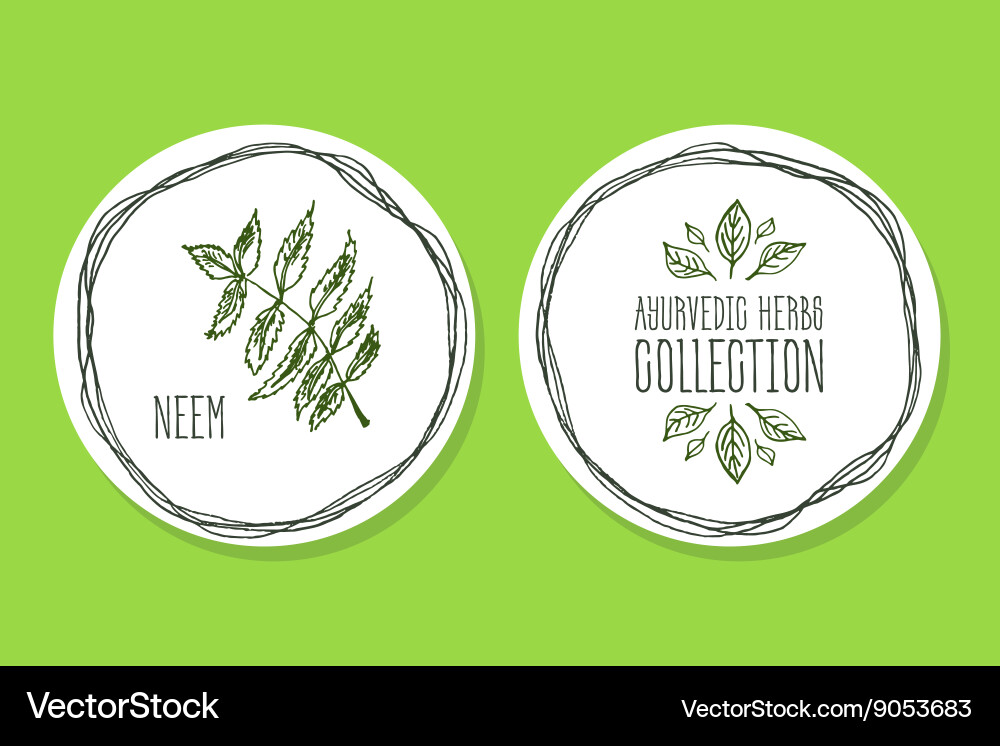 Neem Logo Vector Images (30)