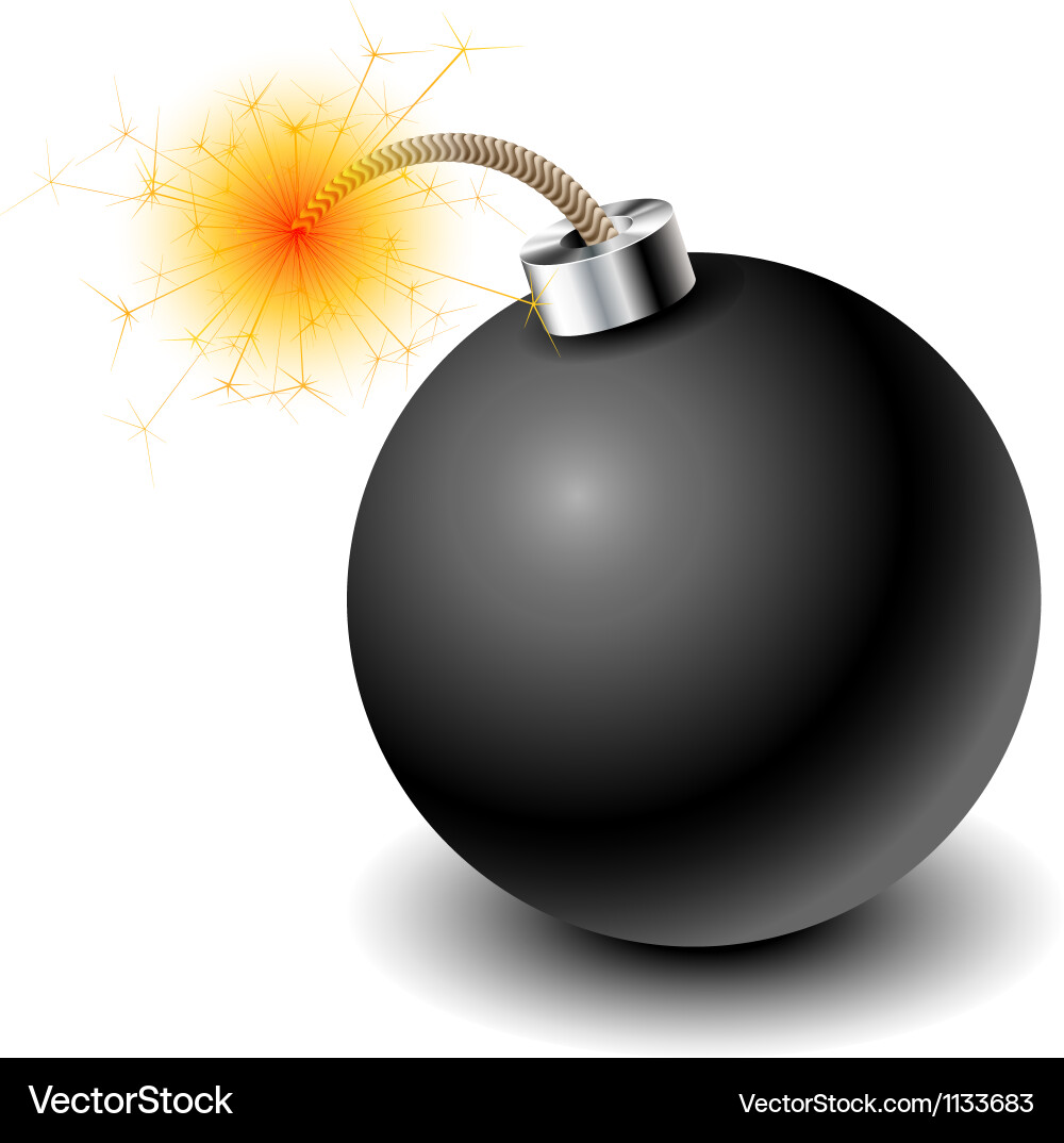 Black Bomb with Burning Cord Royalty Free Vector Image