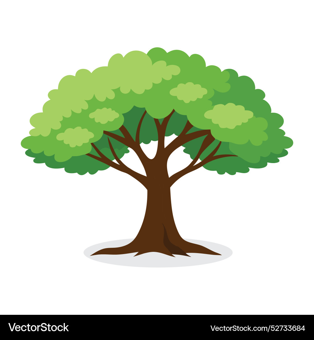 Peepal tree flat on white background Royalty Free Vector