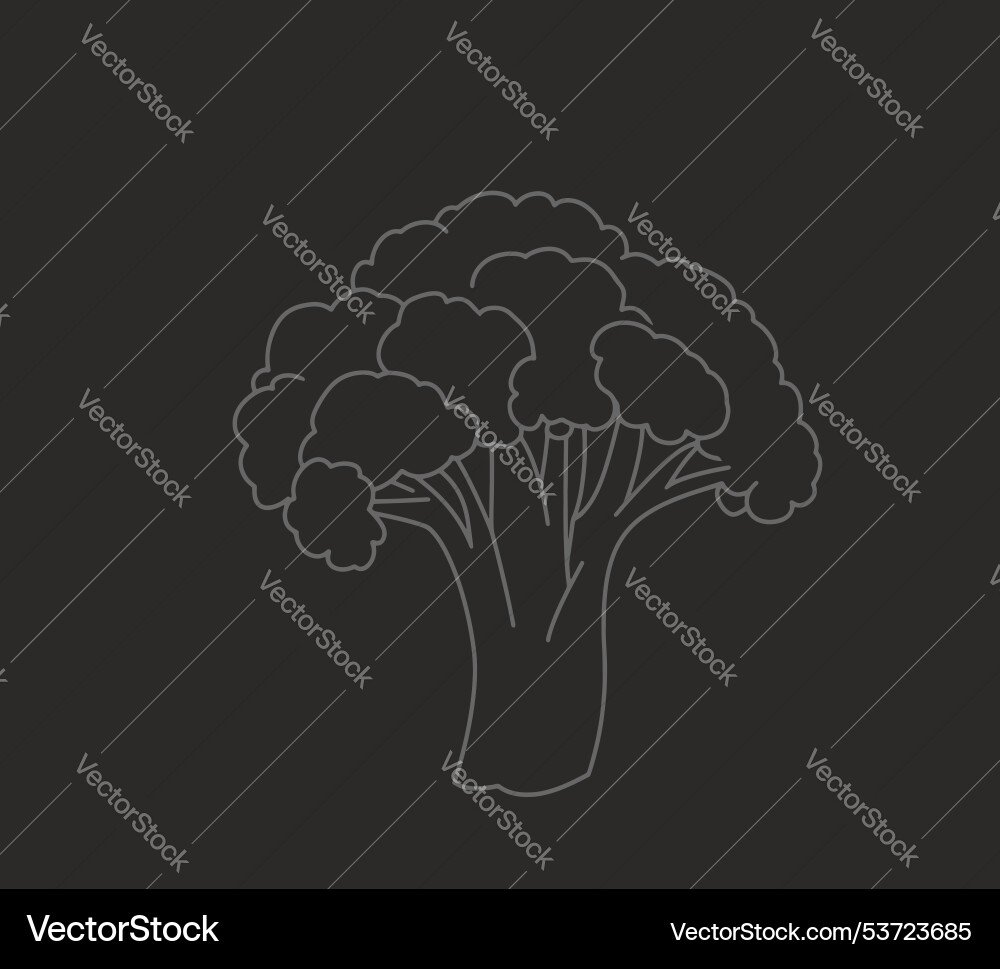 Broccoli hand-drawn Royalty Free Vector Image - VectorStock