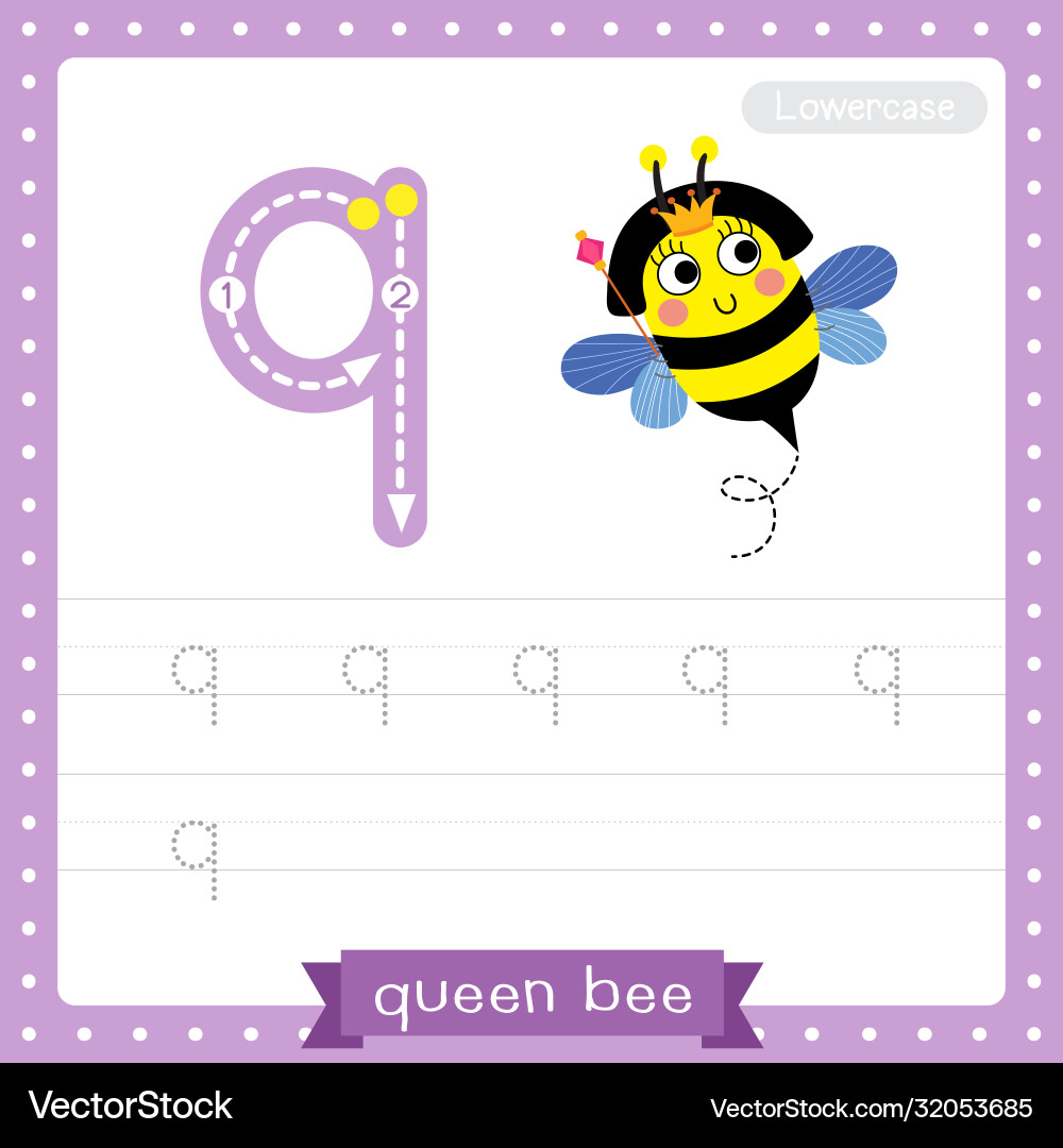 Letter q lowercase tracing practice worksheet Vector Image