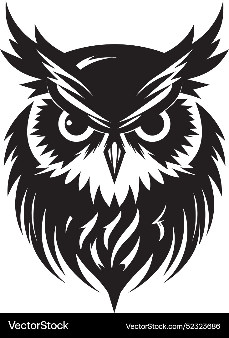 Knowledge and creativity black white owl Vector Image