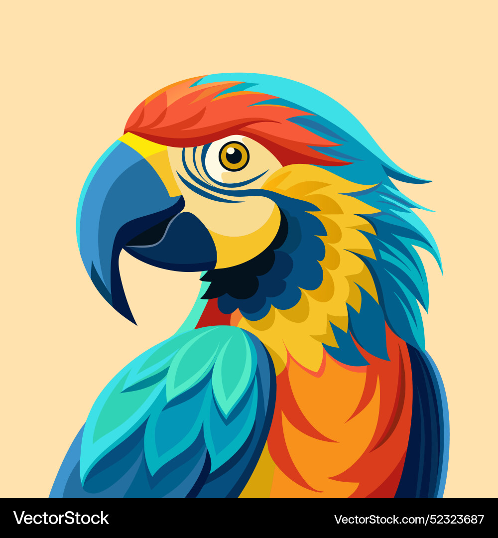 Colorful Parrot Art Royalty Free Vector Image - VectorStock