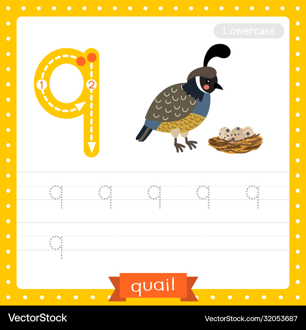 Lowercase Q Tracing Worksheet - Quail Bird Vector Image