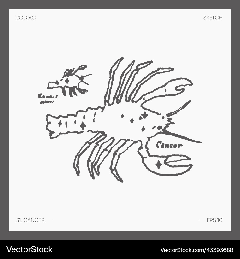 Astrological zodiac cancer Royalty Free Vector Image