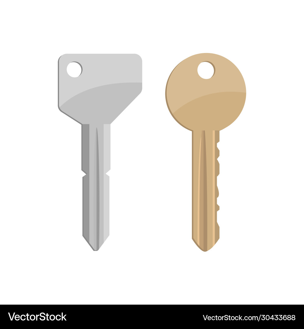 Door key Royalty Free Vector Image - VectorStock