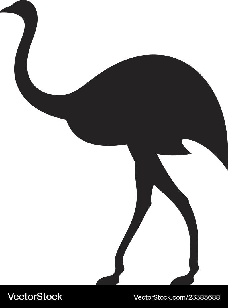 Ostrich Royalty Free Vector Image - VectorStock