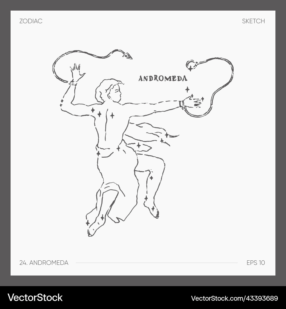 Astrological zodiac andromeda Royalty Free Vector Image