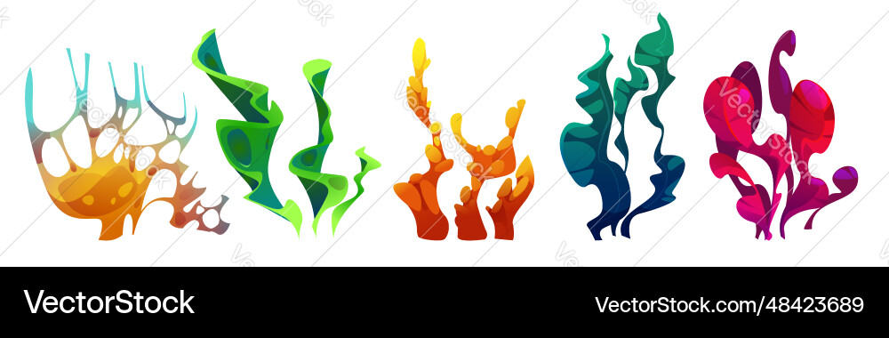 Marine sea underwater plant Royalty Free Vector Image