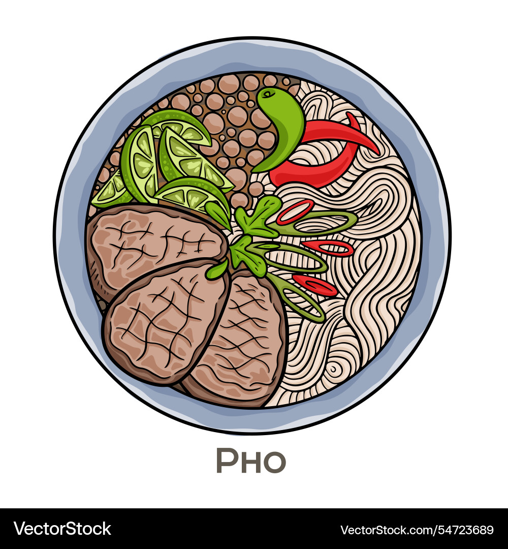 Pho is a vietnamese noodle soup typically made Vector Image