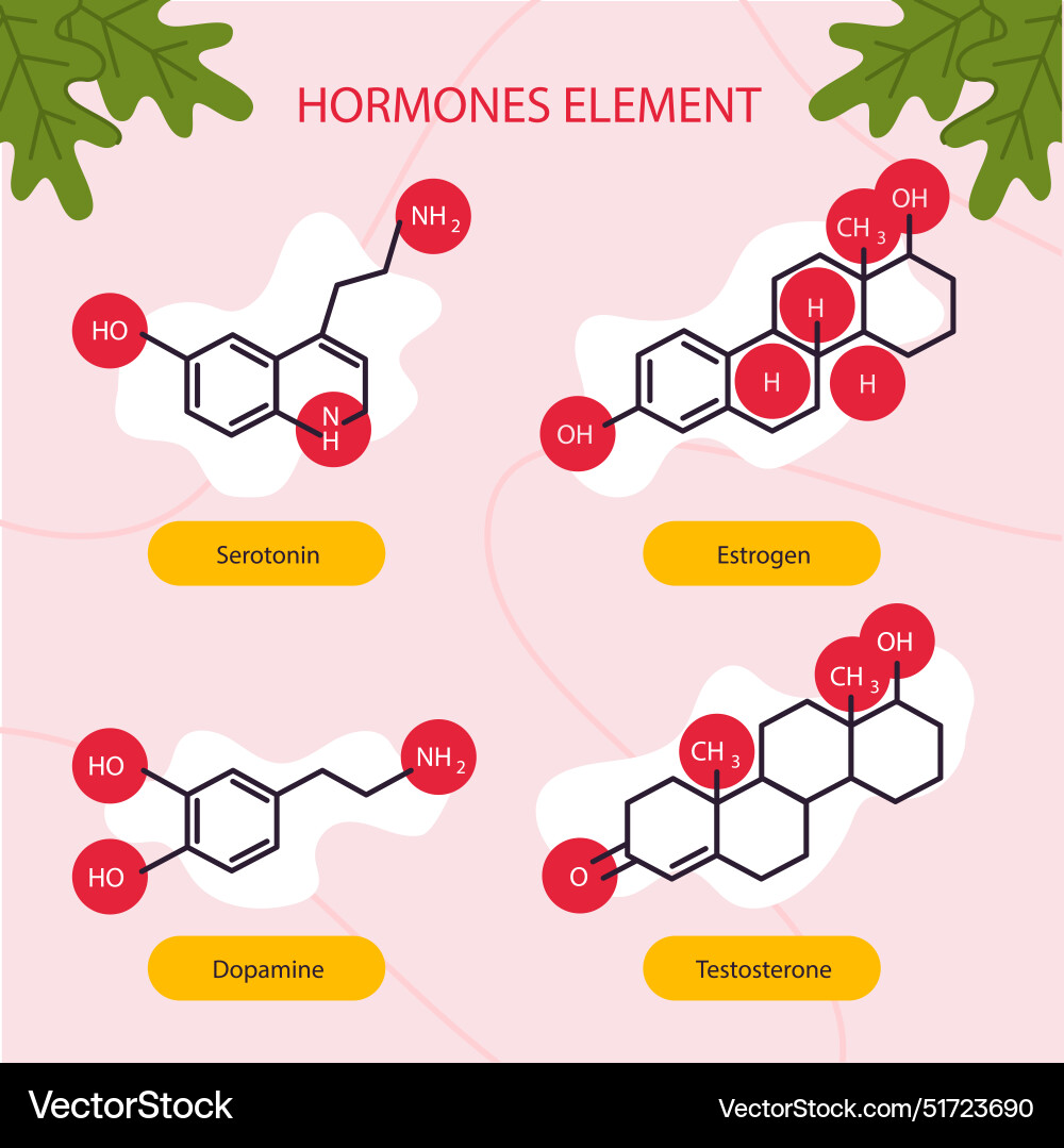 A selection of hormone chemical structures Vector Image