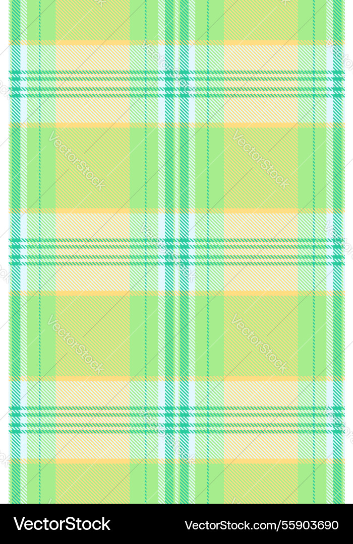 Indian check background texture relax tartan Vector Image