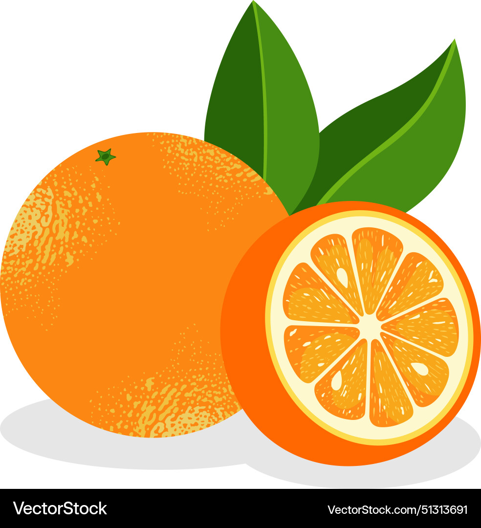 Fresh half and whole orange with leaves Royalty Free Vector