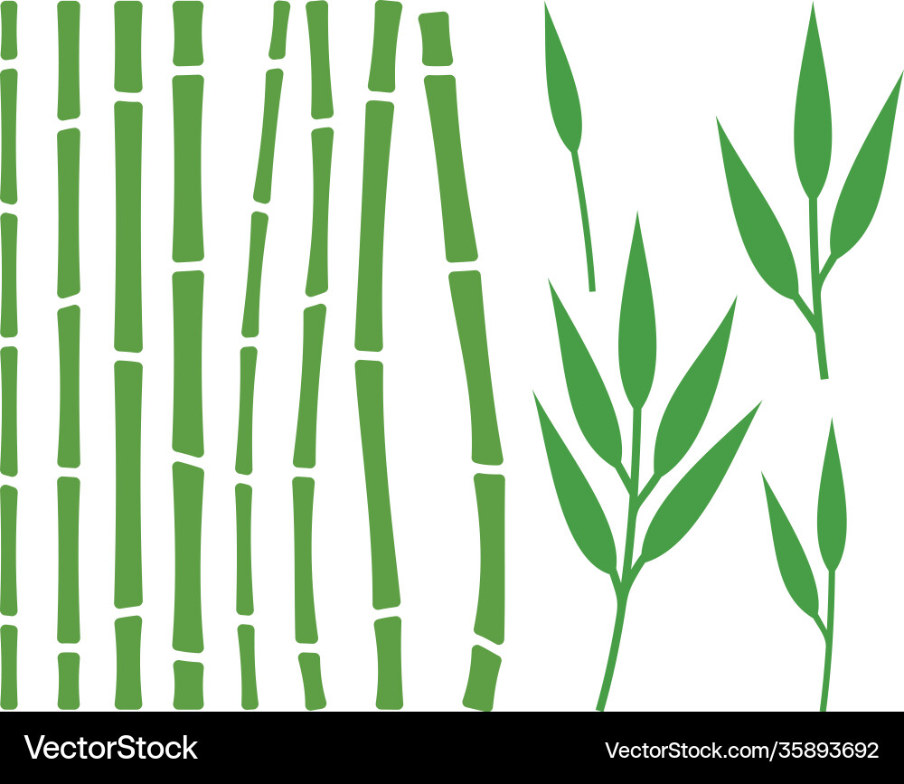Elegant Bamboo Pattern Royalty Free Vector Image