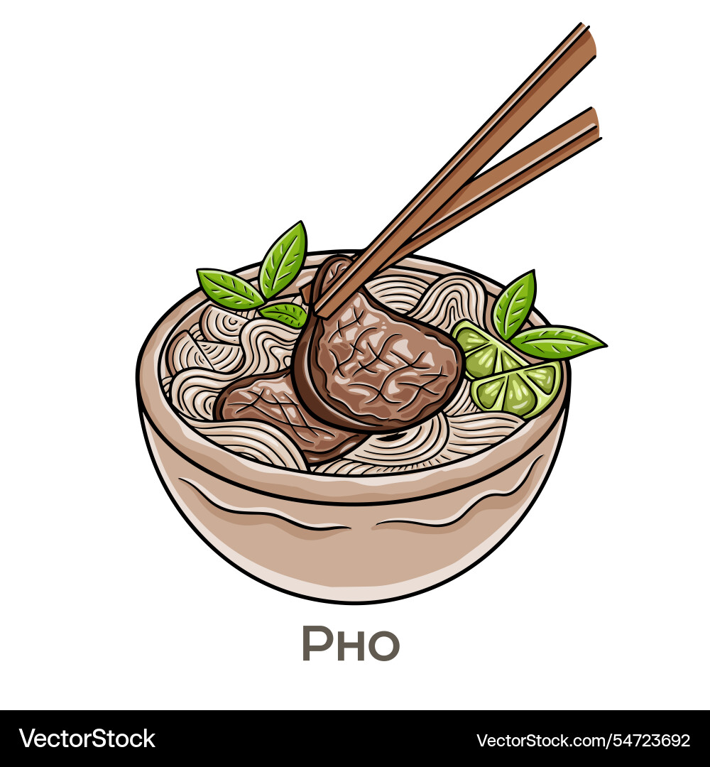 Pho is a vietnamese noodle soup typically made Vector Image