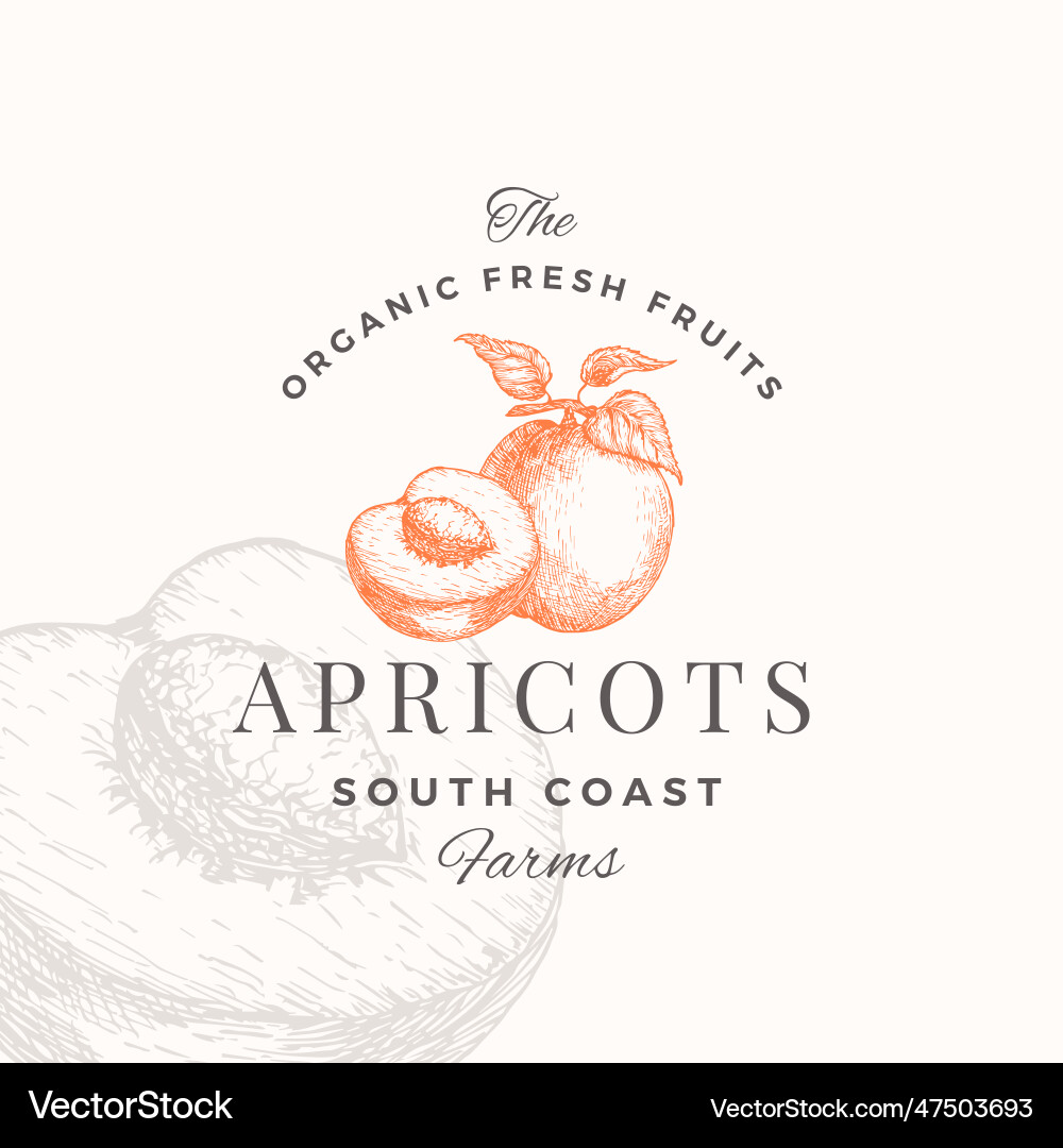Apricots badge logo template hand drawn fruit Vector Image