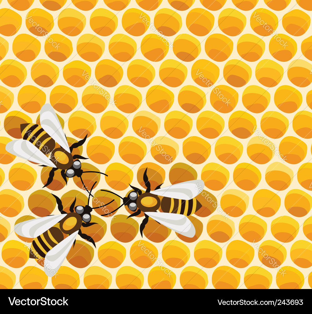 Bees Royalty Free Vector Image - VectorStock