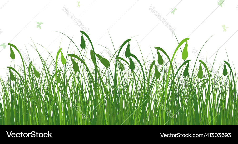 Green grass meadow Royalty Free Vector Image - VectorStock