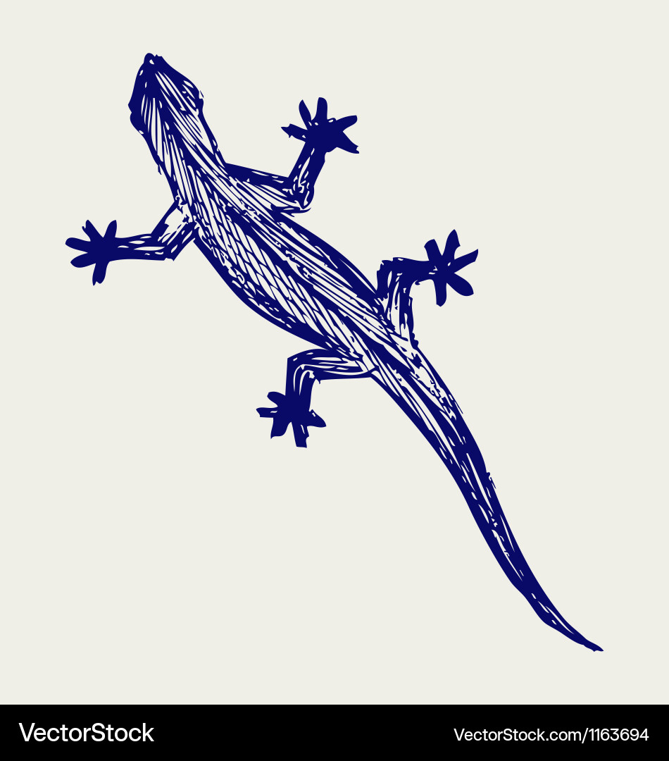 Gecko Silhouette Doodle Royalty Free Vector Image