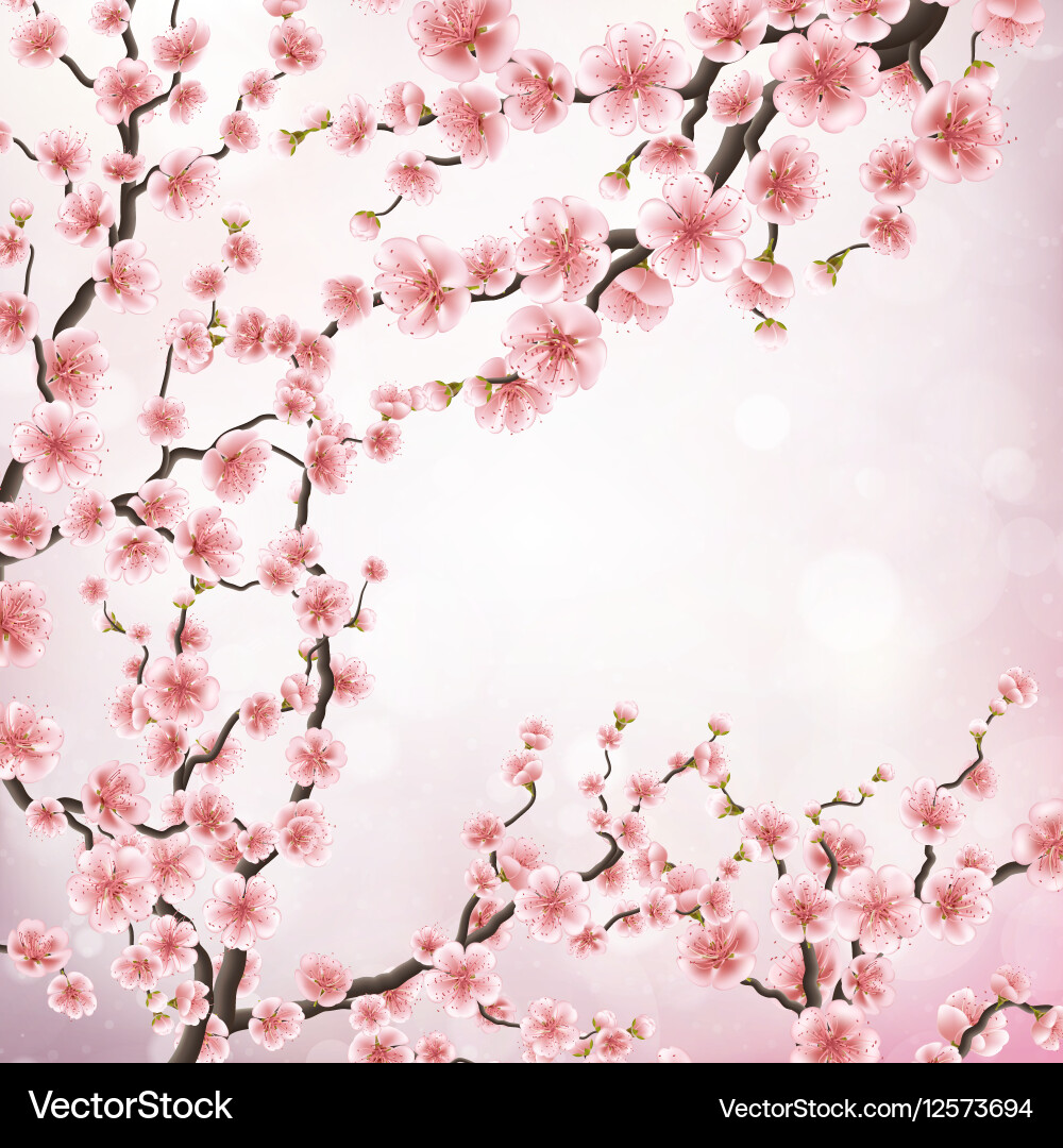 Realistic japan cherry branch eps 10 Royalty Free Vector