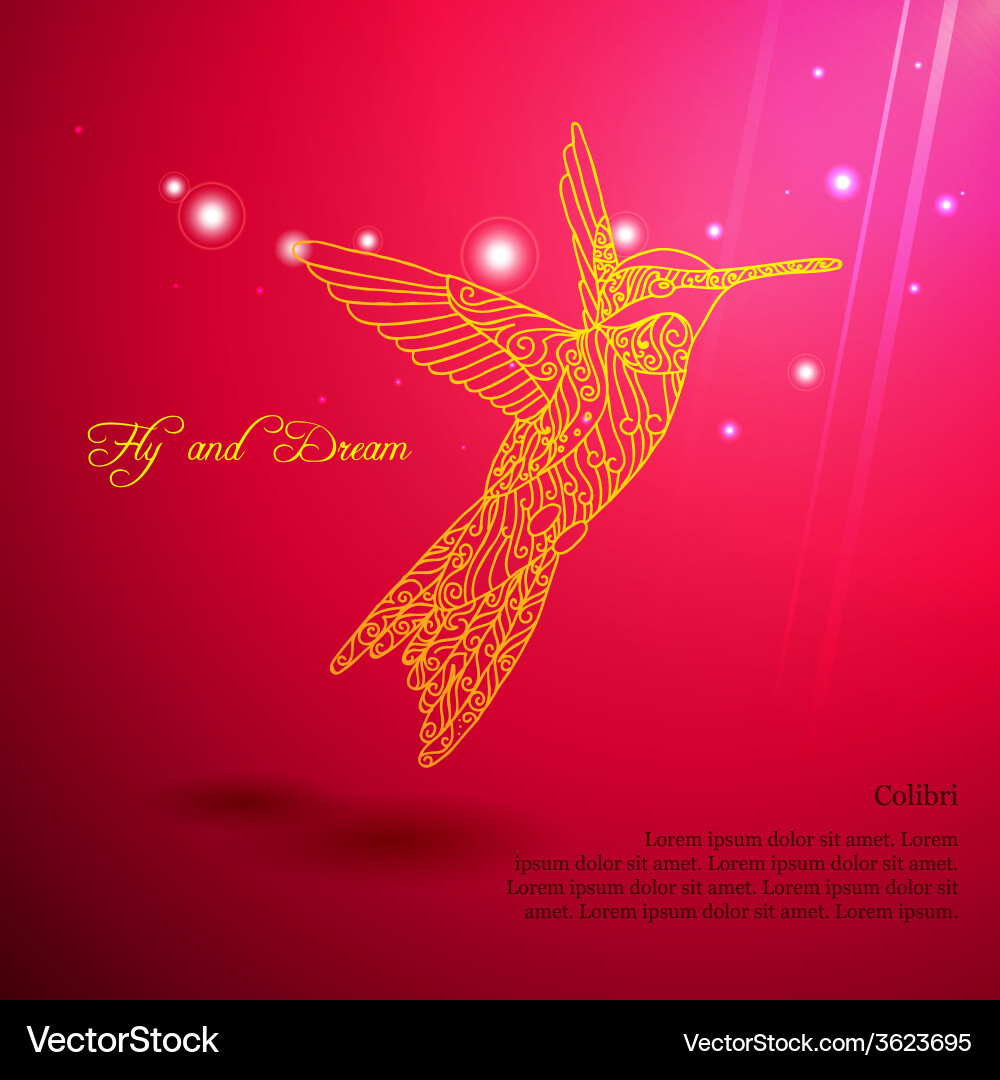 Gold lace colibri flying for dream Royalty Free Vector Image