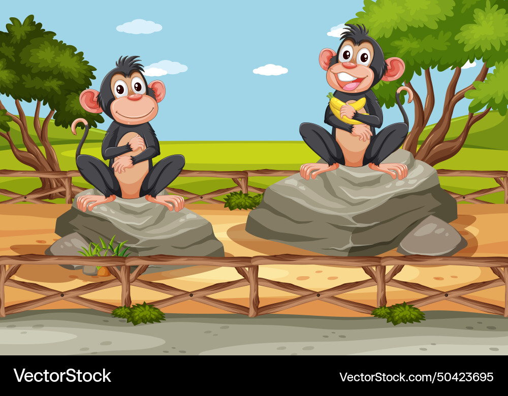 Two happy monkeys sitting on rocks over a bridge Vector Image