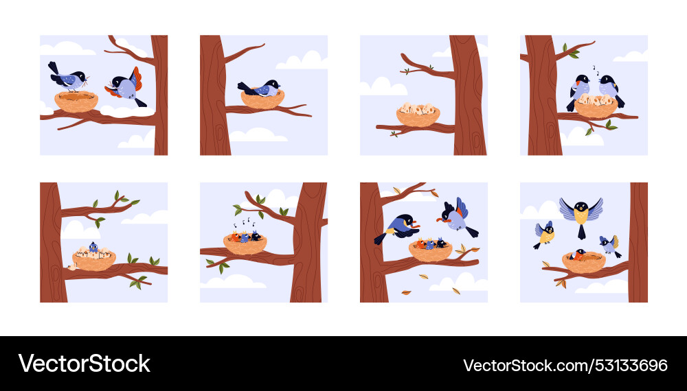 Bird nest life cycle set Royalty Free Vector Image